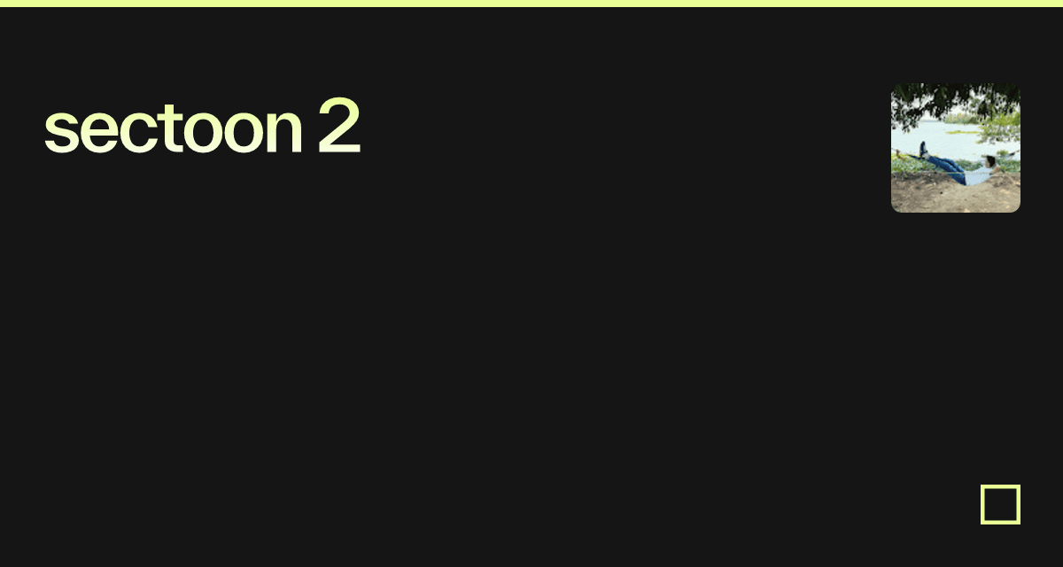 sectoon 2 - Codesandbox