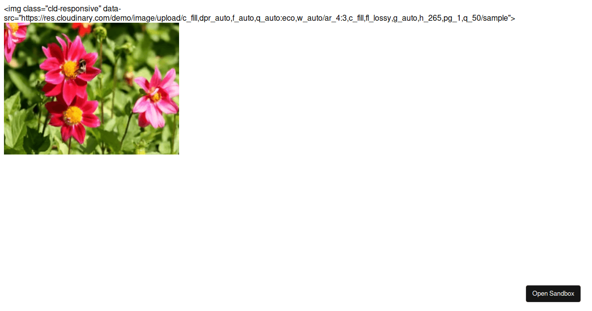 Generate responsive image tags - Codesandbox